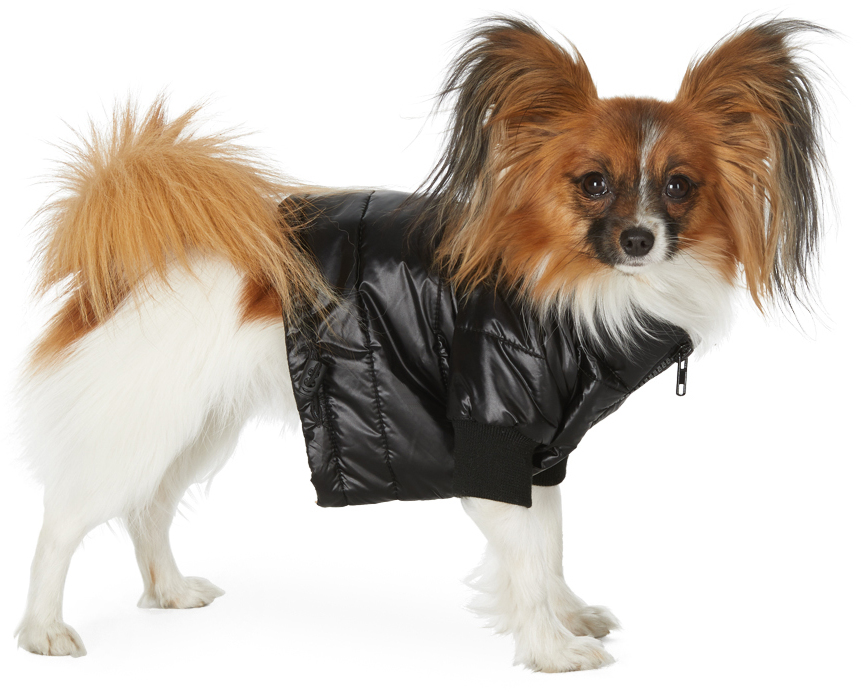 SSENSE Exclusive Black Puffer Jacket by VIP on Sale