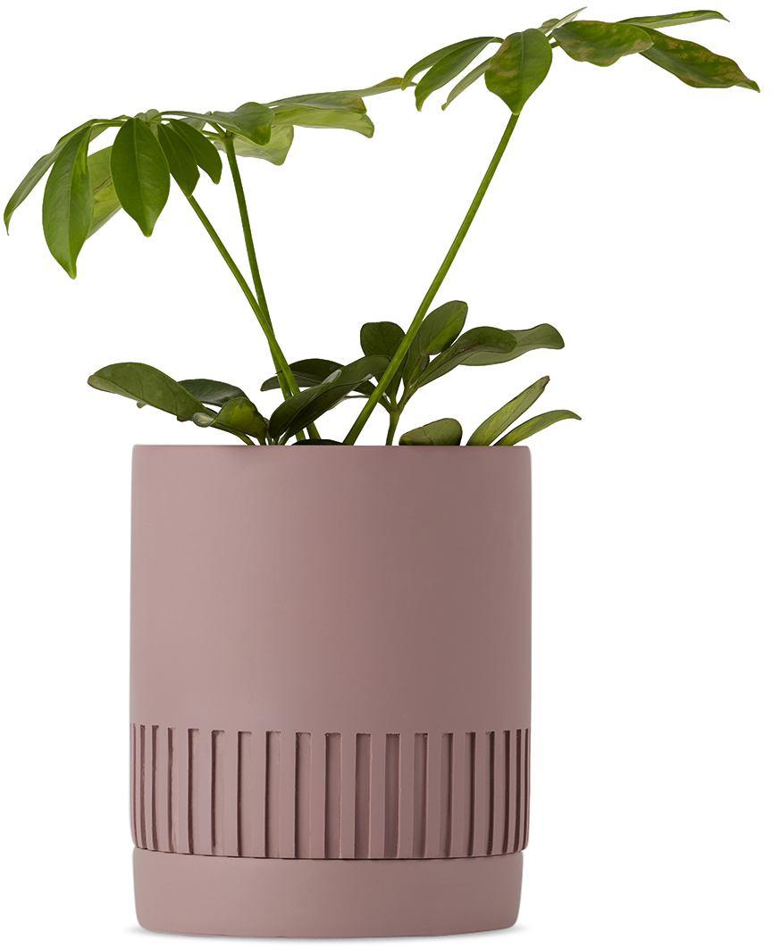 Purple Etch Planter by Capra Designs on Sale